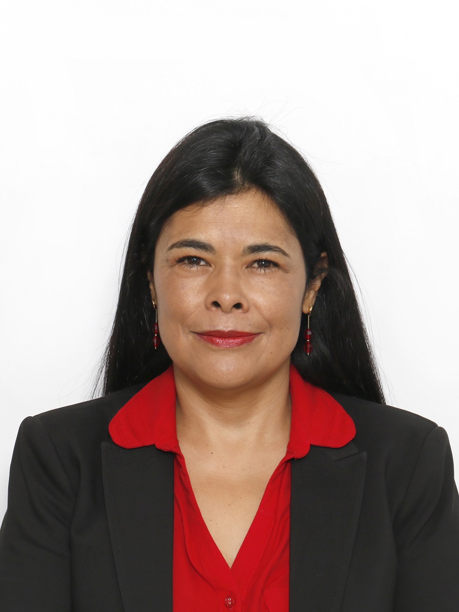 OFICINA DE FISCALIZACION GRANDES CONTRIBUYENTES | Secretaría Distrital ...